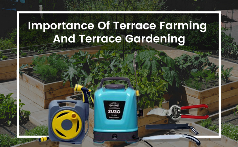 Importance of terrace farming and terrace gardening
